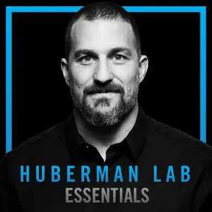Huberman Lab : | Noice Podcast